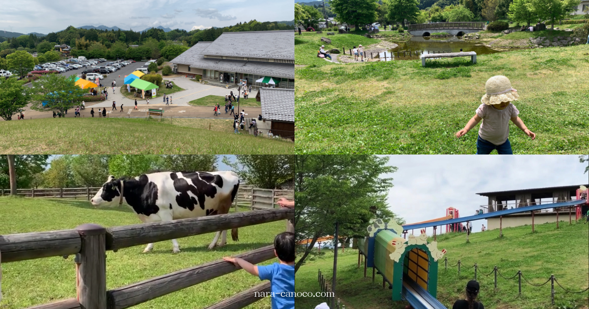 【特集】子どもが喜ぶ！奈良の屋外遊び場 | canoco