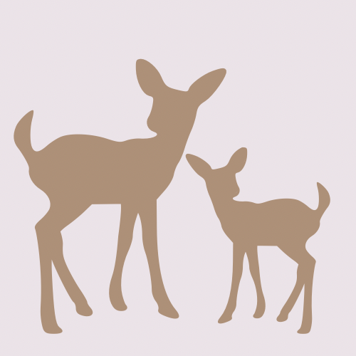 【新店】11/30オープン！道の駅「クロスウェイなかまち」／奈良市 | canoco