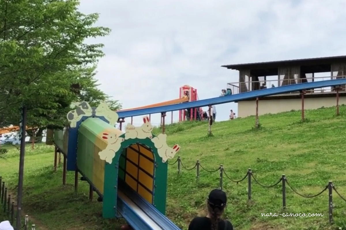 【うだ・アニマルパーク】動物と触れ合える！無料の最強子連れスポット／宇陀市 | canoco