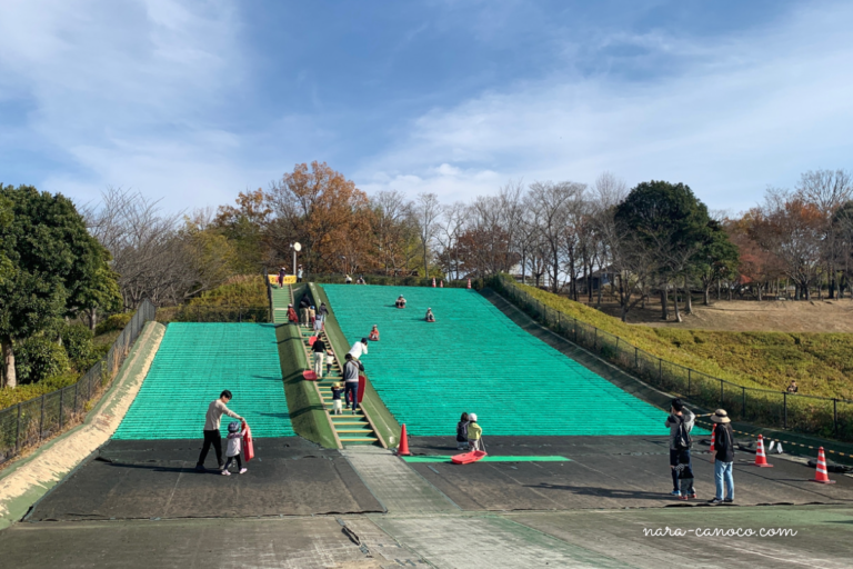 【特集】子どもが喜ぶ！奈良の屋外遊び場 | canoco