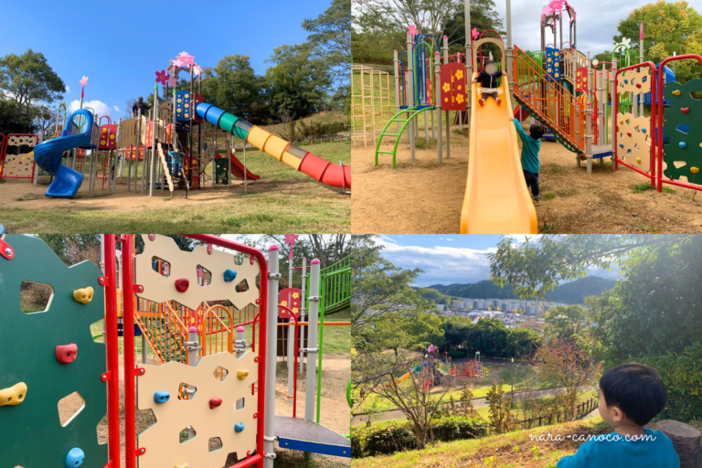 【特集】子どもが喜ぶ！奈良の屋外遊び場 | canoco