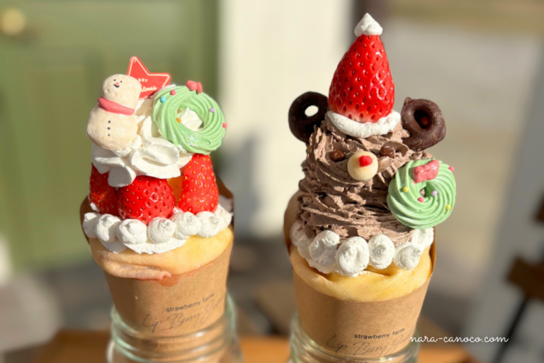 【LIP〜幸せいちご園〜】いちご農園プロデュースのいちごカフェ♡いちご狩りも予約スタート！／五條市 | canoco