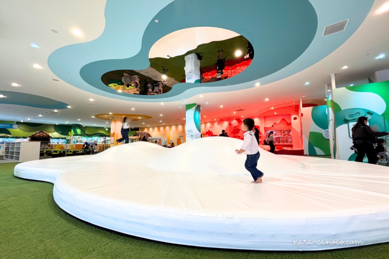 【ちきゅうのにわ 橿原店】3/1イオンモール橿原ウェスト・ビレッジにオープン！近畿初の屋内遊び場【レポートあり！】／橿原市 | canoco