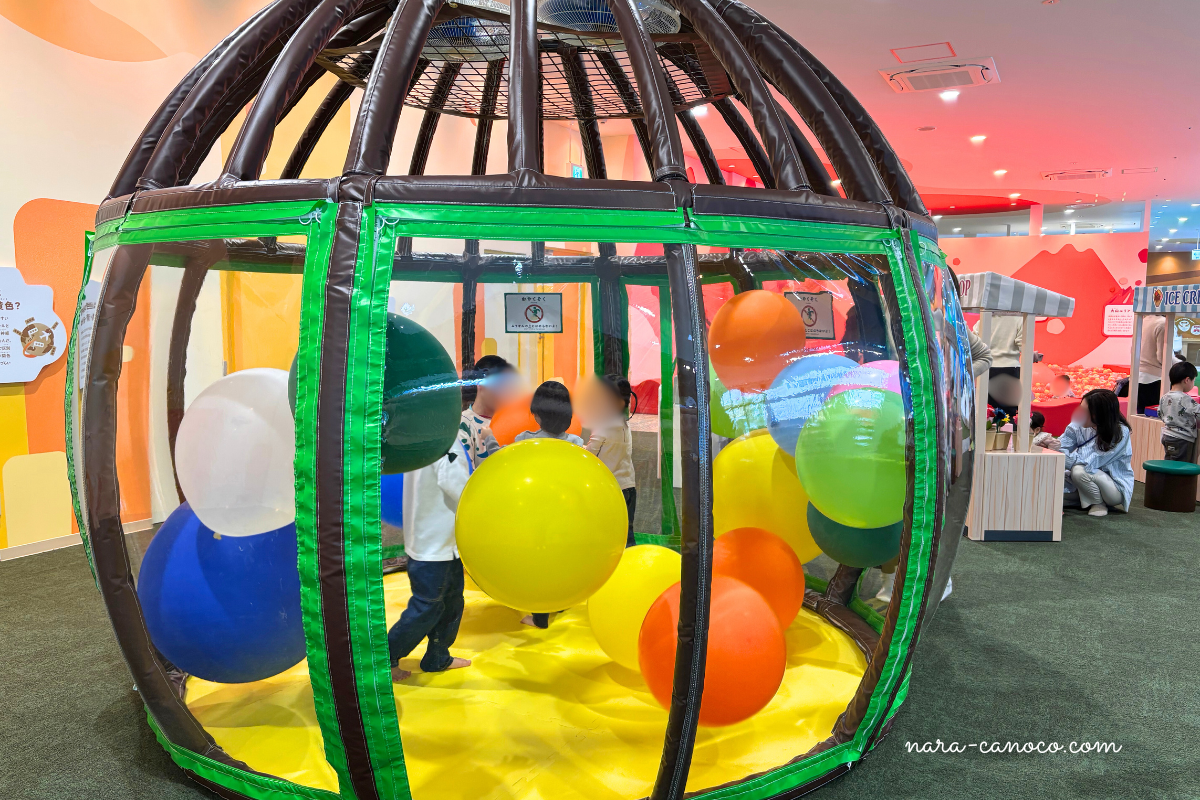 【ちきゅうのにわ 橿原店】3/1イオンモール橿原ウェスト・ビレッジにオープン！近畿初の屋内遊び場【レポートあり！】／橿原市 | canoco