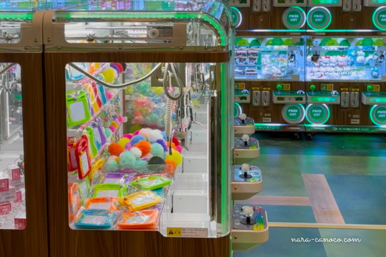 【ちきゅうのにわ 橿原店】3/1イオンモール橿原ウェスト・ビレッジにオープン！近畿初の屋内遊び場【レポートあり！】／橿原市 | canoco